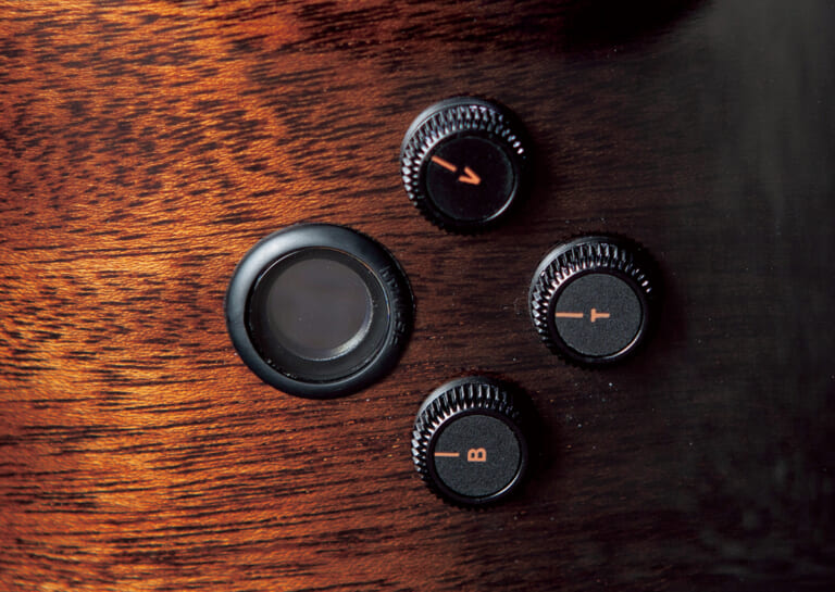 Breedlove（ブリードラブ）の新基軸“The Organic Pro Collection”×井草聖二 | アコースティック・ギター ...